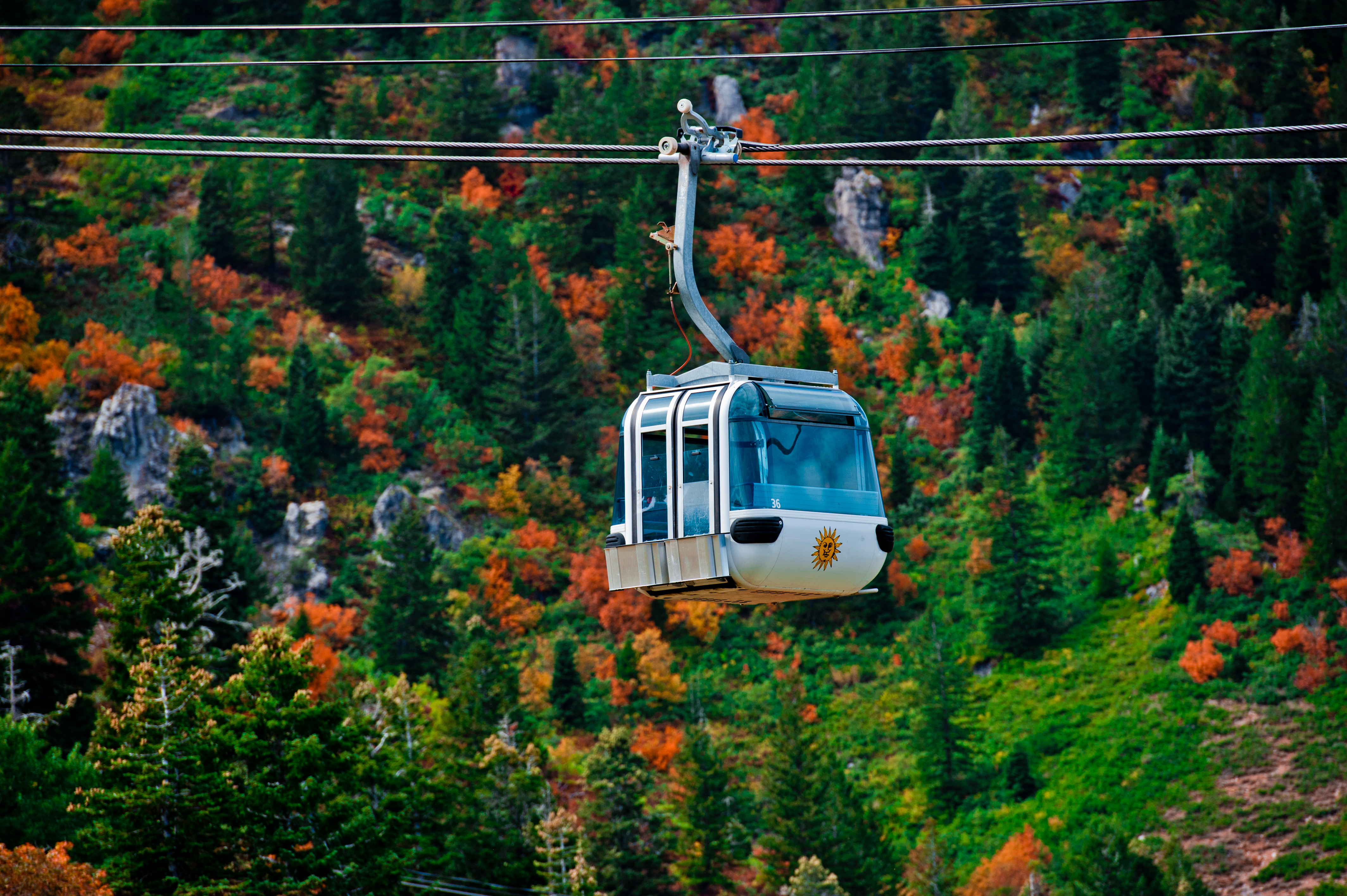 Celebrate SnowWiesn Oktoberfest with Us | Snowbasin