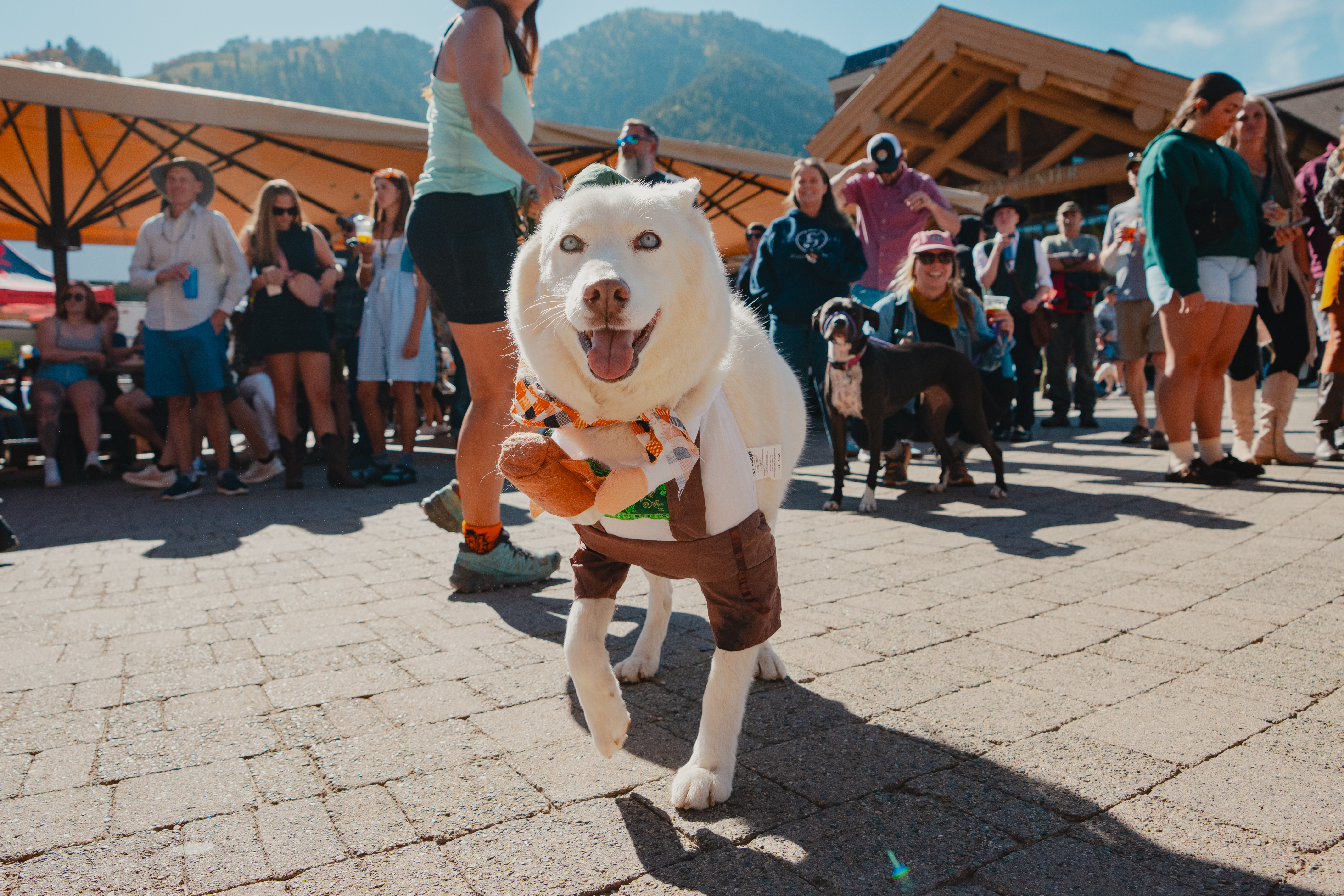 Celebrate SnowWiesn Oktoberfest with Us | Snowbasin